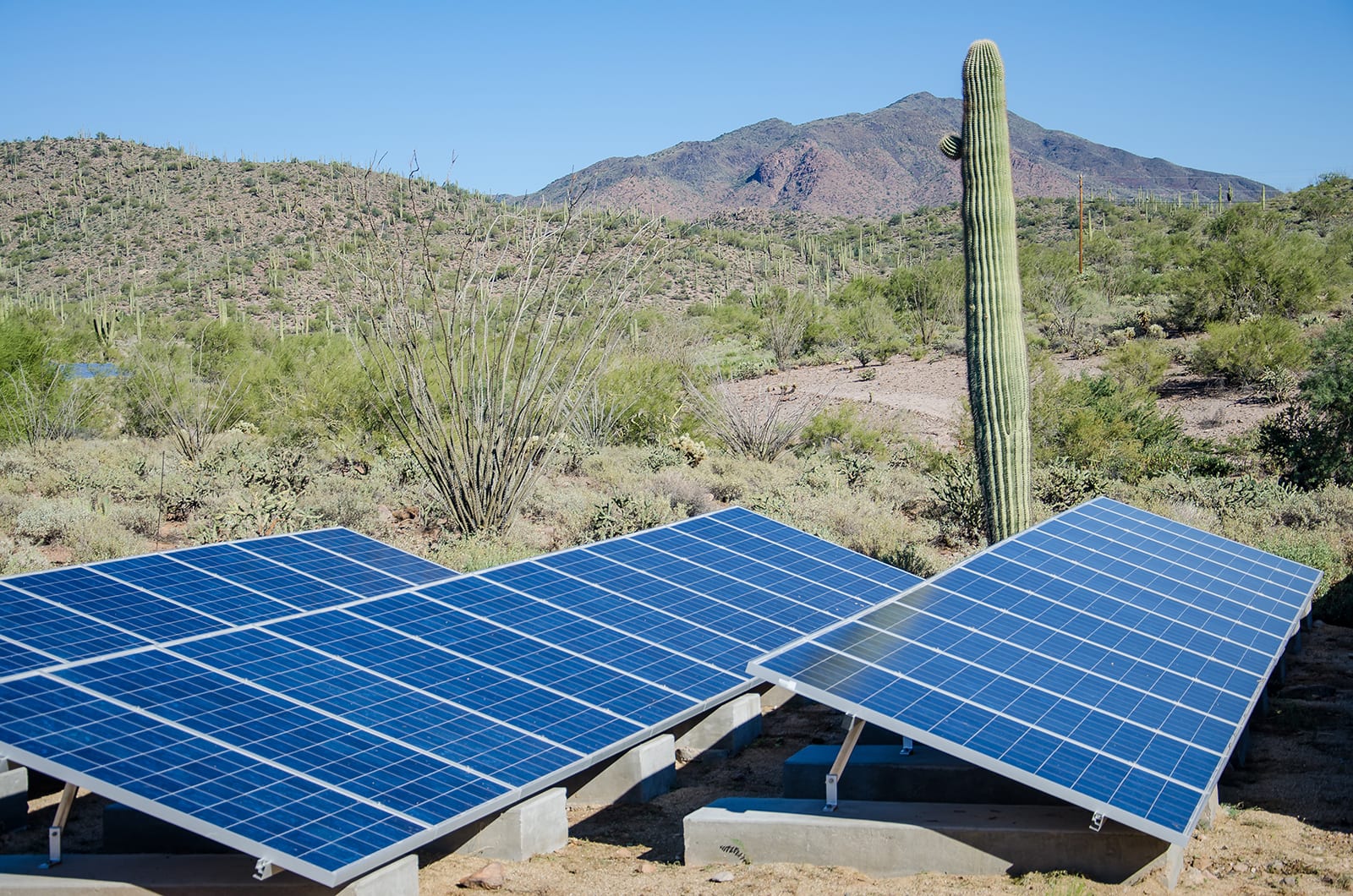 About Us* | Renewable Energy for AZ - az4ccc